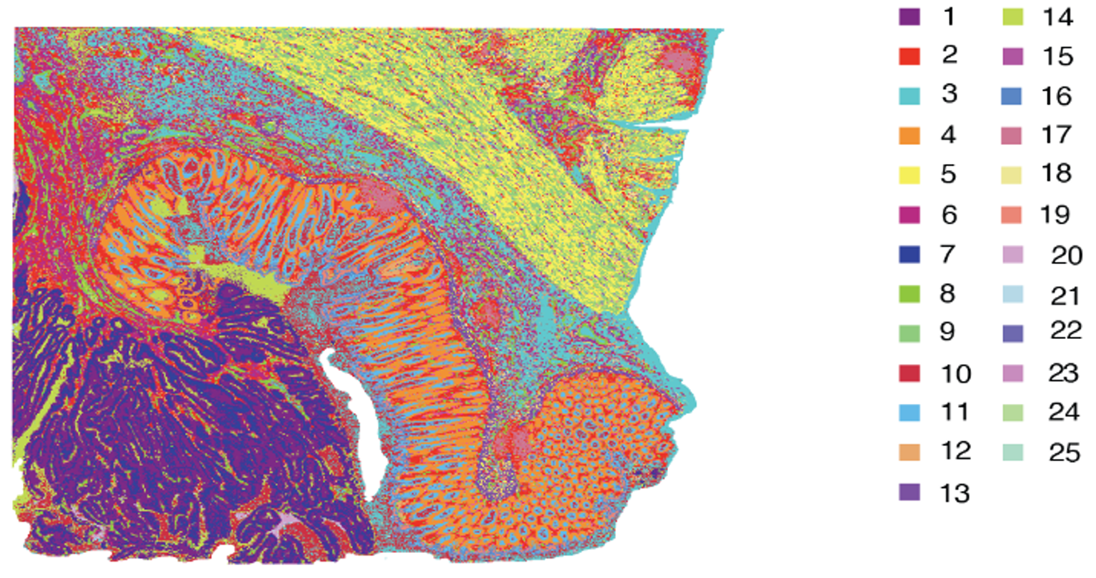 How imaging- and sequencing-based spatial transcriptomics add new dimensions to your research ...
